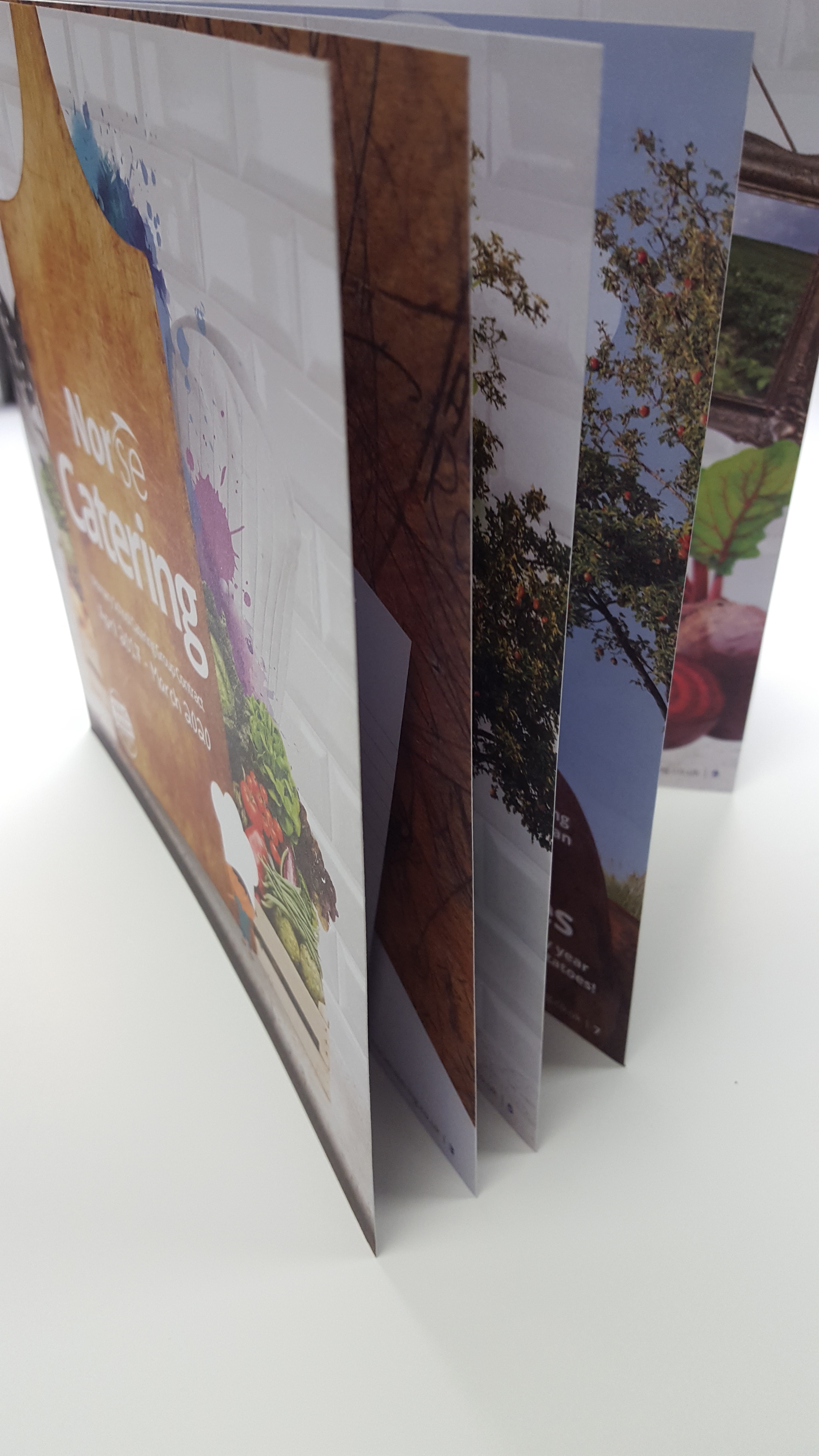 Interprint Norwich Flyers & leaflets