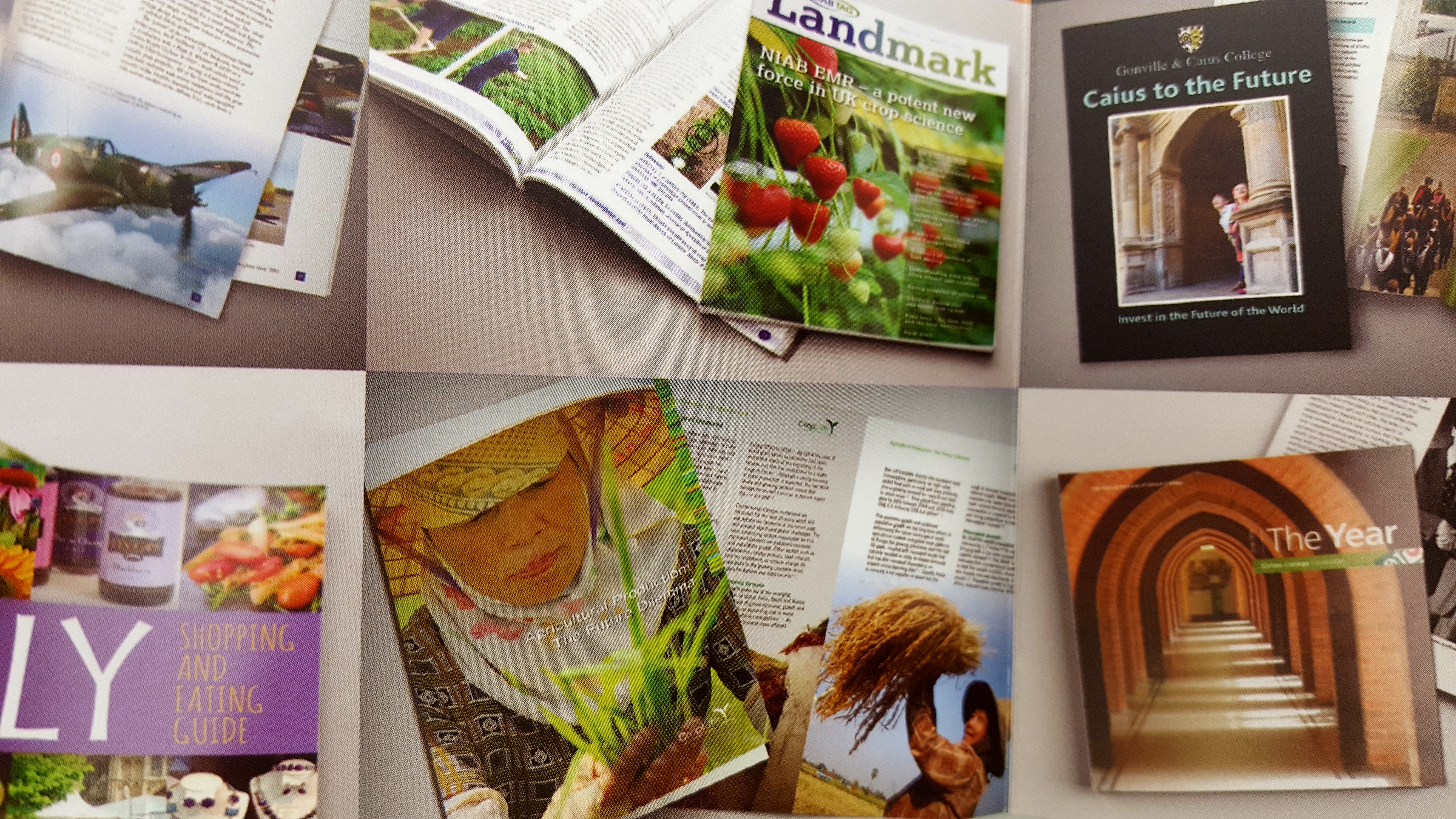 Interprint Norwich Flyers & leaflets